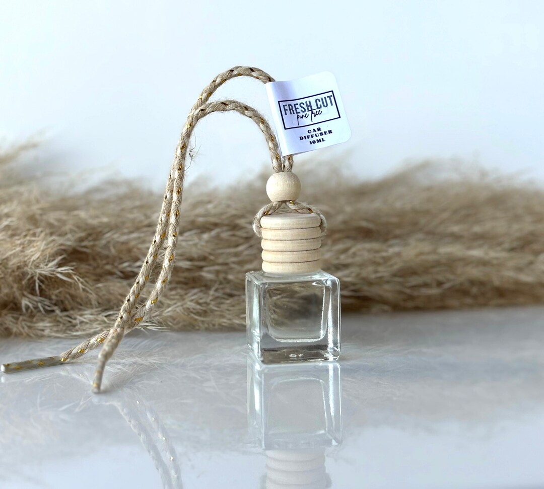 Scented Hanging Car Diffuser, Car Air Freshener, Car Diffuser, Cute Car ...