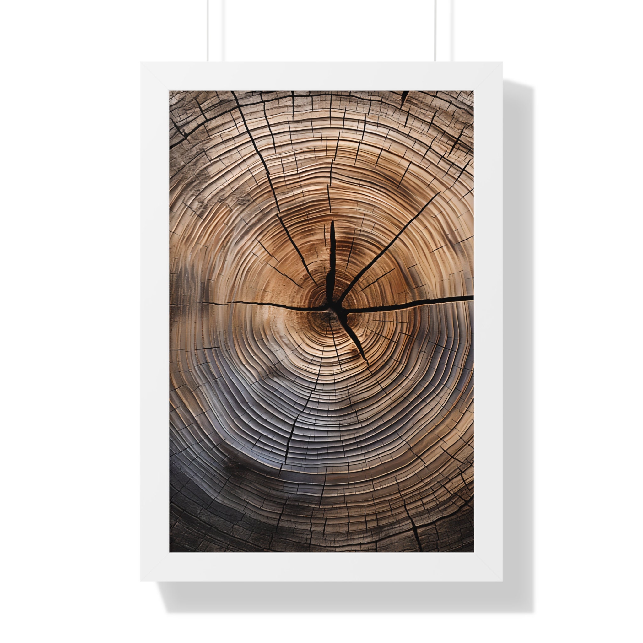 Framed Tree Rings 2 Artwork, Rustic Tree Rings Framed Picture, Nature ...