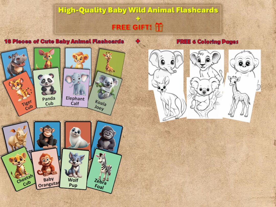 Tarjetas didácticas de animales salvajes para bebés lindos - Etsy España