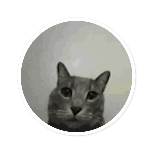 Goofy Goober Stickers - Etsy