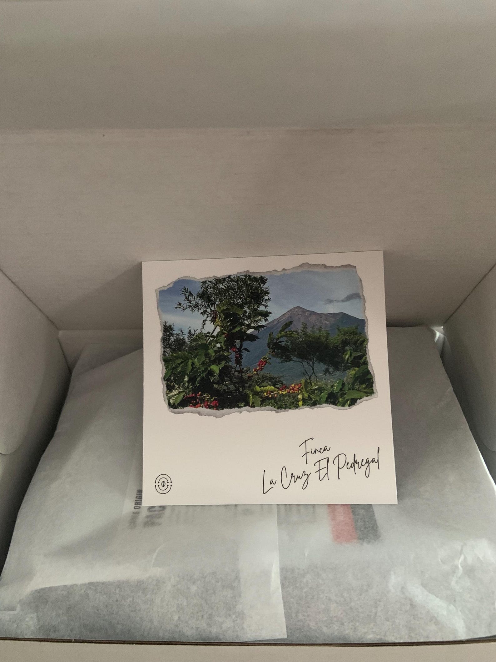 Guatemala Specialty Coffee Mundo Novo & Pacamara 2 Pack Medium Roast ...