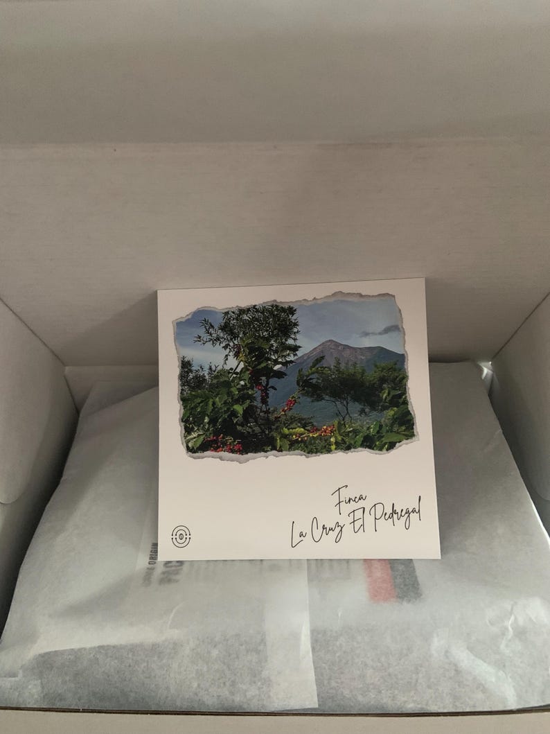 Guatemala Specialty Coffee Mundo Novo & Pacamara 2 Pack Medium Roast ...