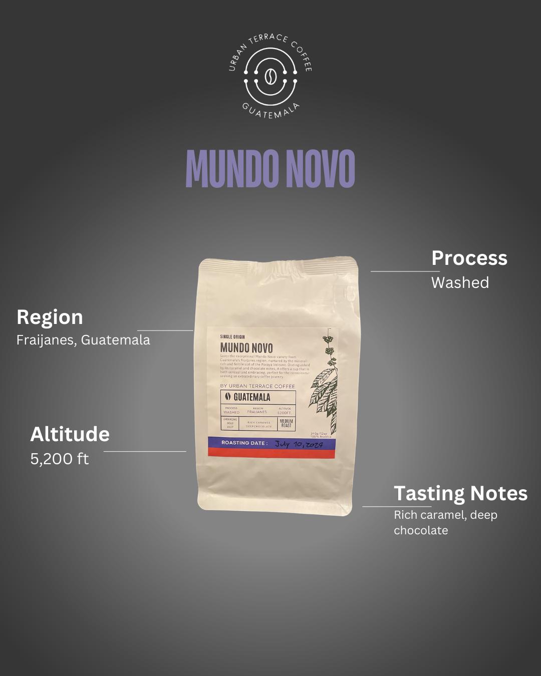 Guatemala Specialty Coffee Mundo Novo & Pacamara 2 Pack Medium Roast ...