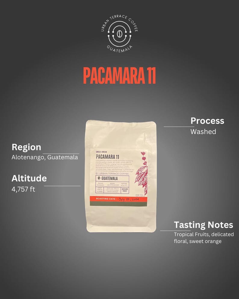 Guatemala Specialty Coffee Mundo Novo & Pacamara 2 Pack Medium Roast 12oz Whole Bean - Etsy