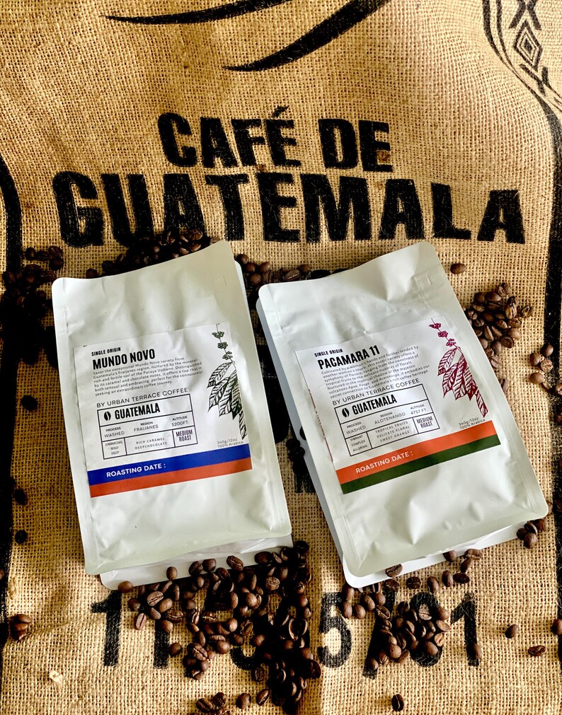 Guatemala Specialty Coffee Mundo Novo & Pacamara 2 Pack Medium Roast ...