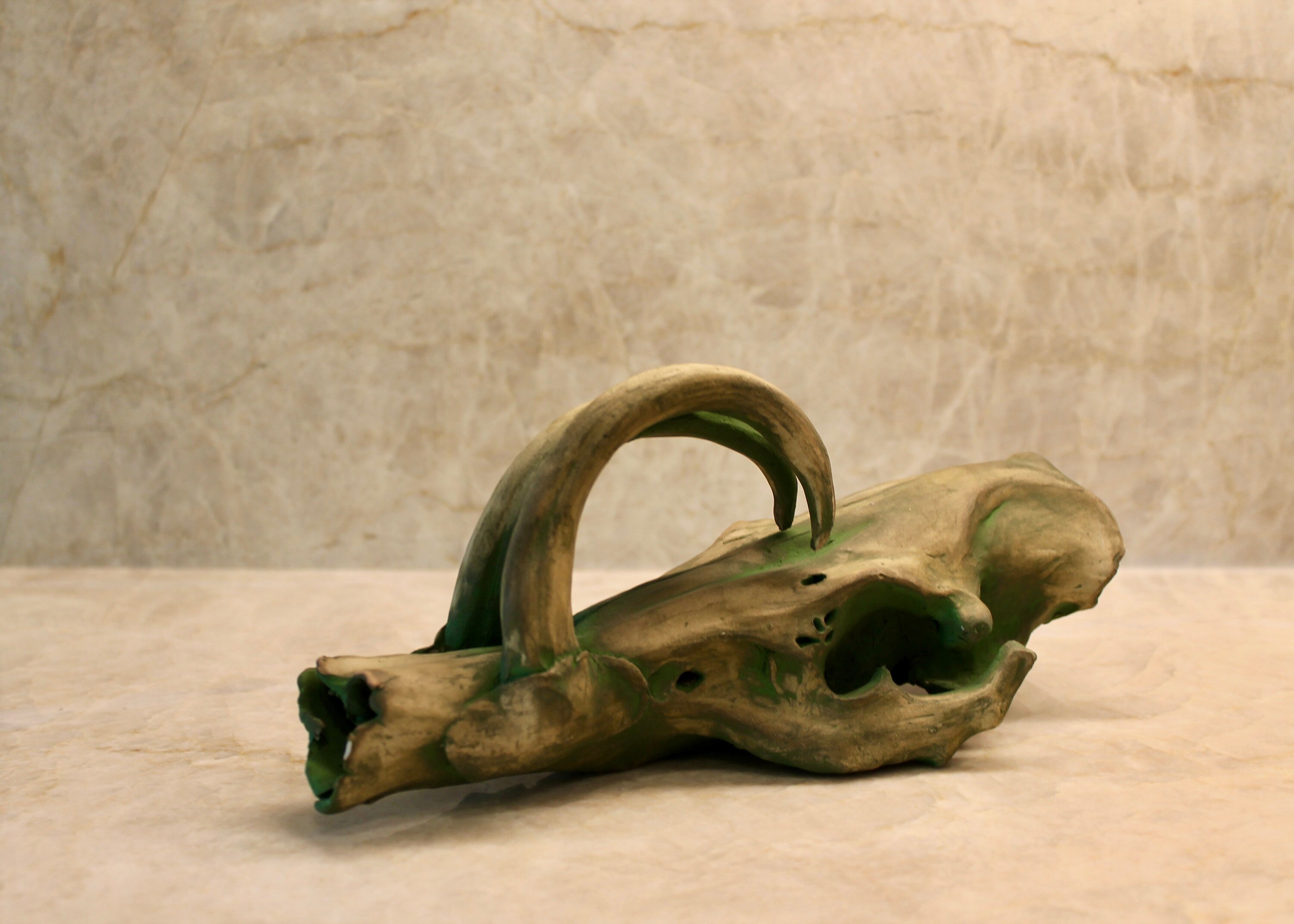 Ceramic Babirusa Skull Sculpture - Etsy