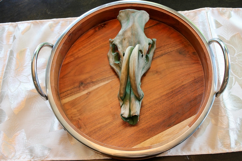 Ceramic Babirusa Skull Sculpture - Etsy