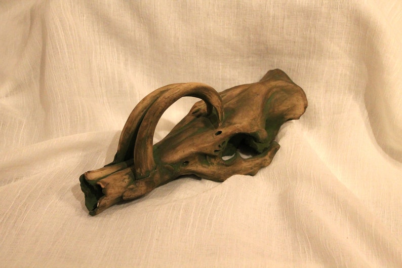 Ceramic Babirusa Skull Sculpture - Etsy