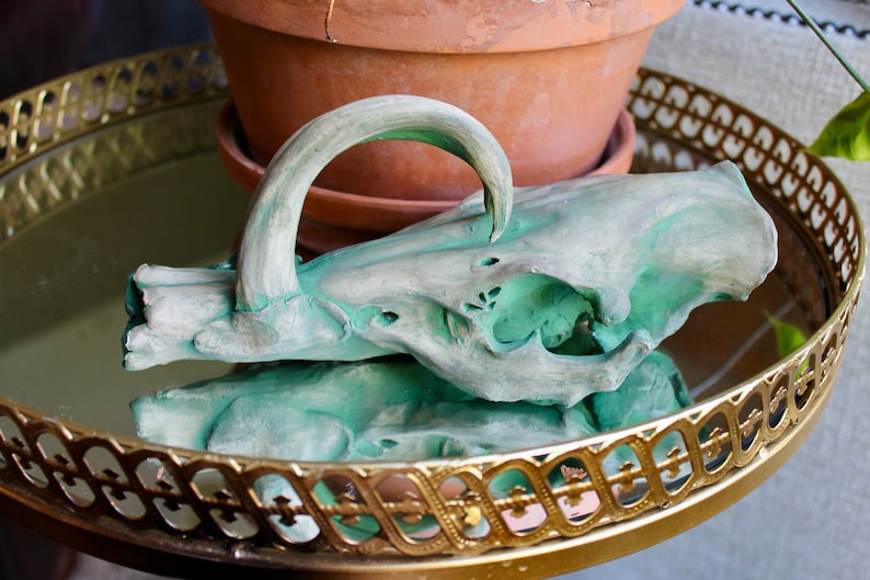 Ceramic Babirusa Skull Sculpture - Etsy