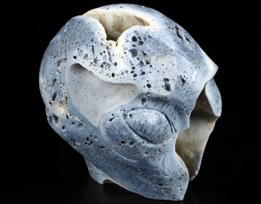 3.1” Blue Ridge Coral Alien Carving - Etsy