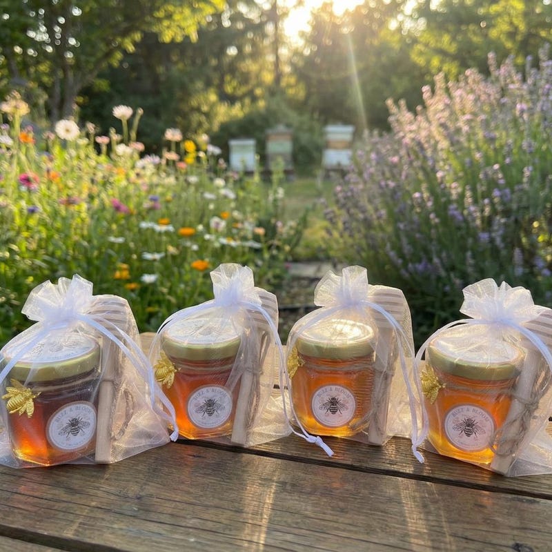 Organic Honey Mini Jars - Etsy