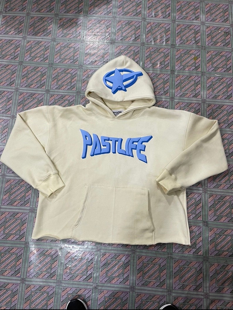 Pastlife Oversized Hoodie - Etsy