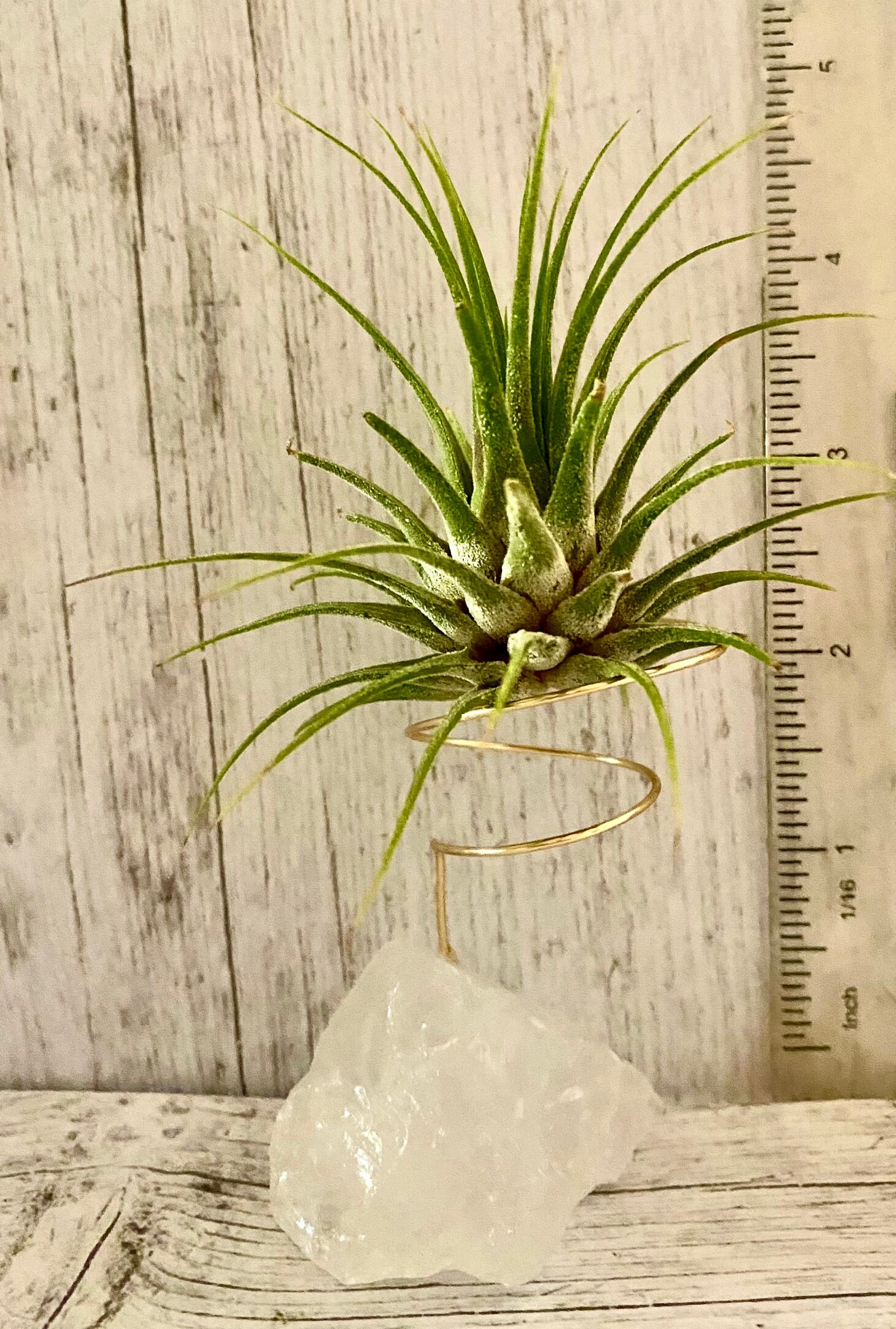 Medium Raw Crystal Gemstone Air Plant Holder | Rose Quartz | Clear ...