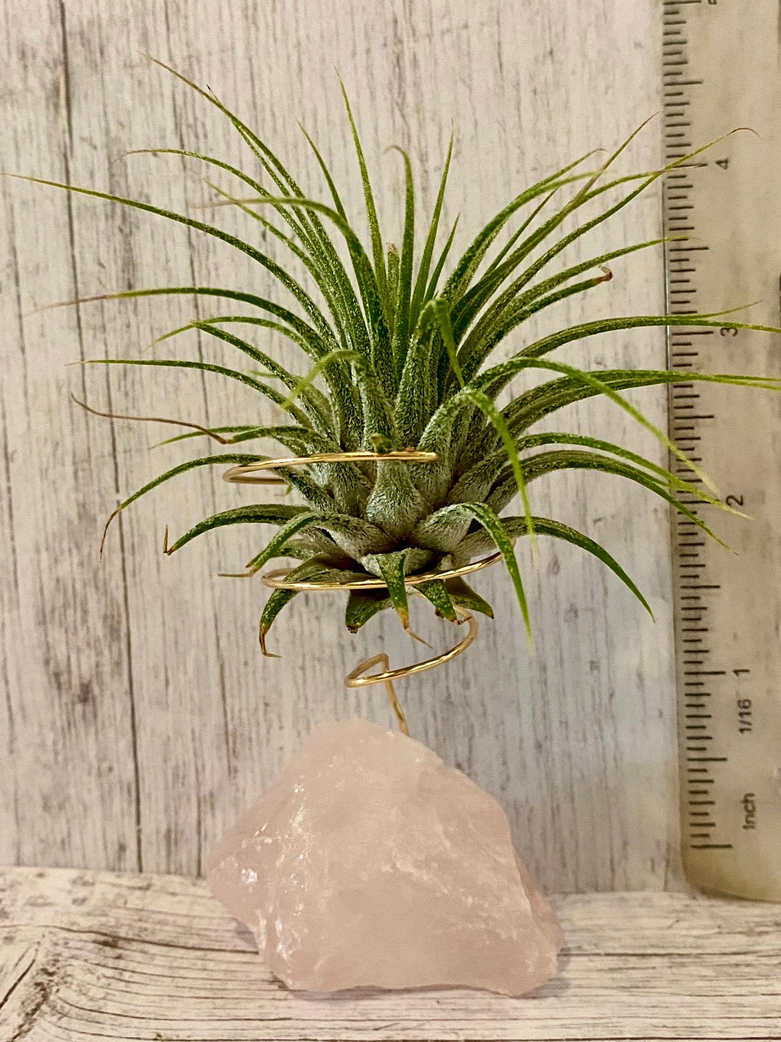 Medium Raw Crystal Gemstone Air Plant Holder | Rose Quartz | Clear ...