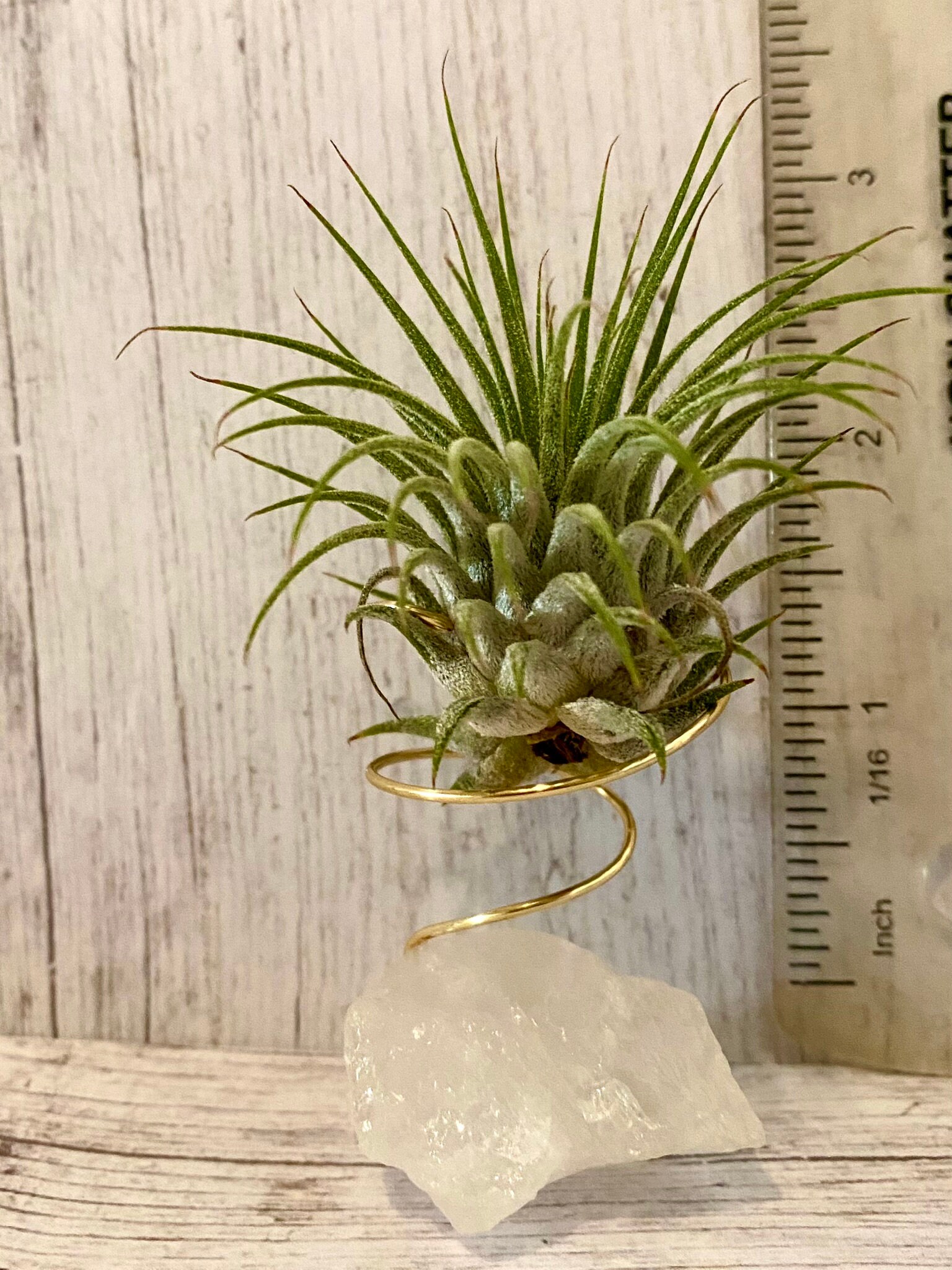 Mini Raw Crystal Gemstone Air Plant Holder Amethyst Rose Quartz Clear ...