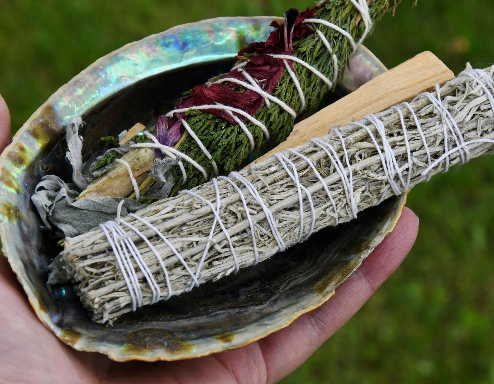 Natural Abalone Shell – Incense Holder, Ritual & Altar | 2.5 to 3.5 ...