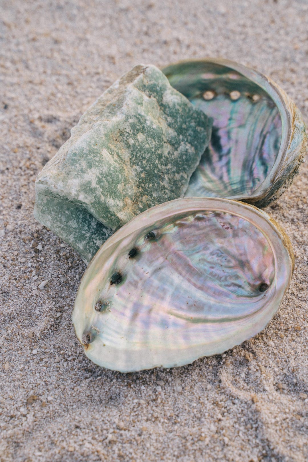 Natural Abalone Shell – Incense Holder, Ritual & Altar | 2.5 to 3.5 ...