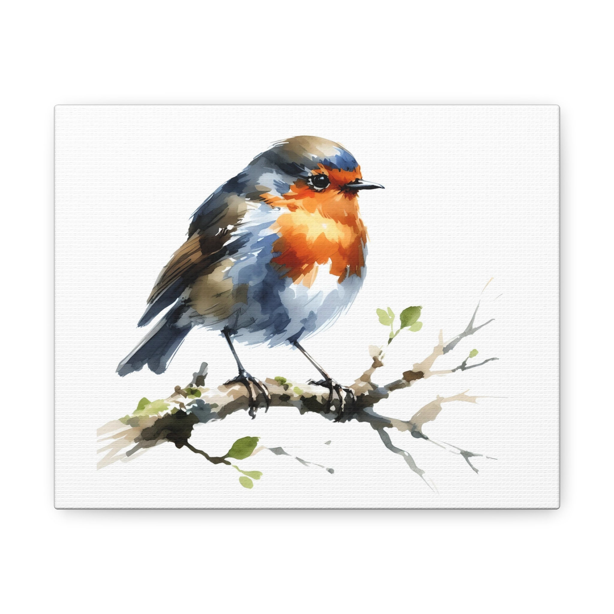 Robin Bird Watercolor Painting and Print - Etsy