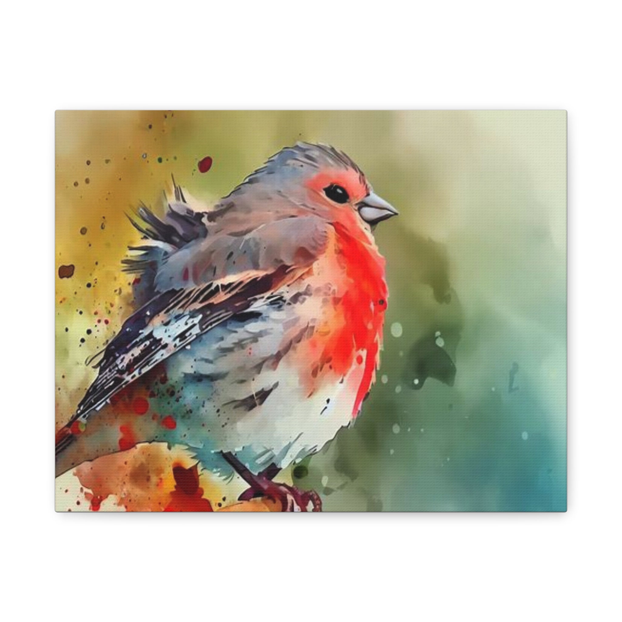 House Finch Print/painting - Etsy