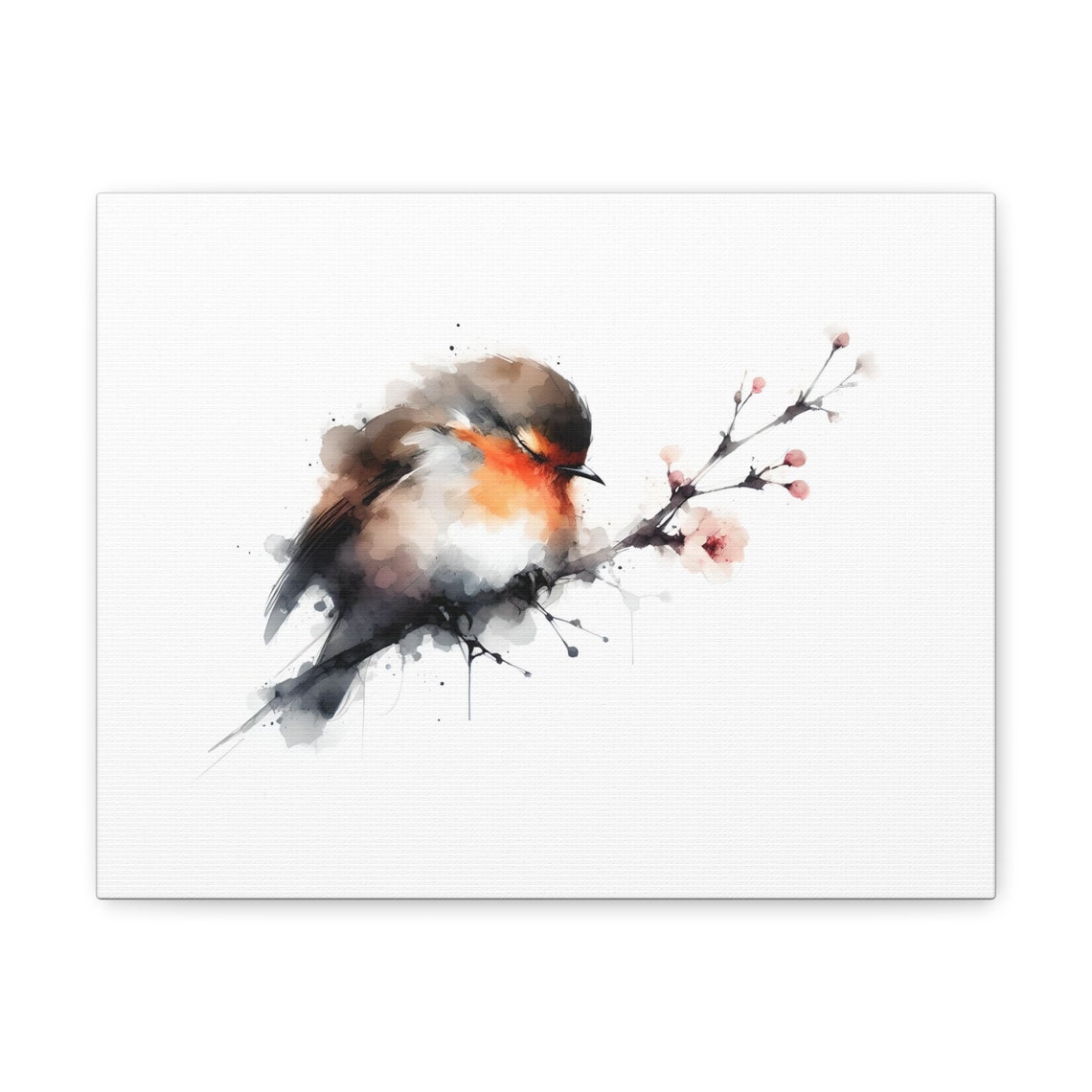Robin Bird Watercolor Painting Art and Print - Etsy