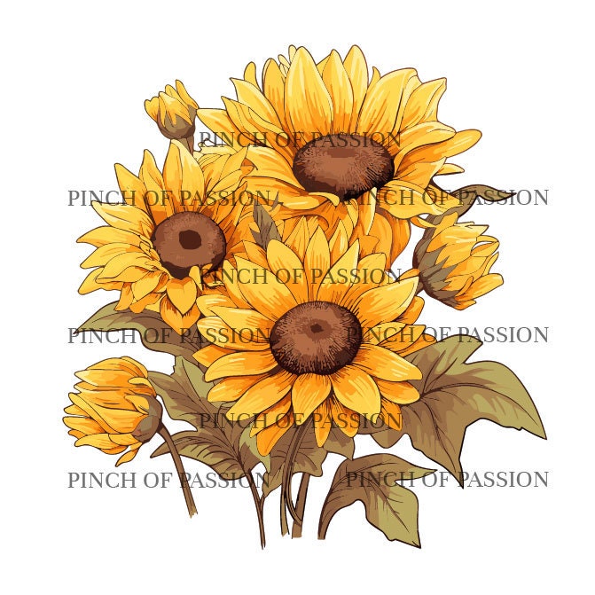 Sunflowers Flowers Vector File Wildflowers Love - Etsy