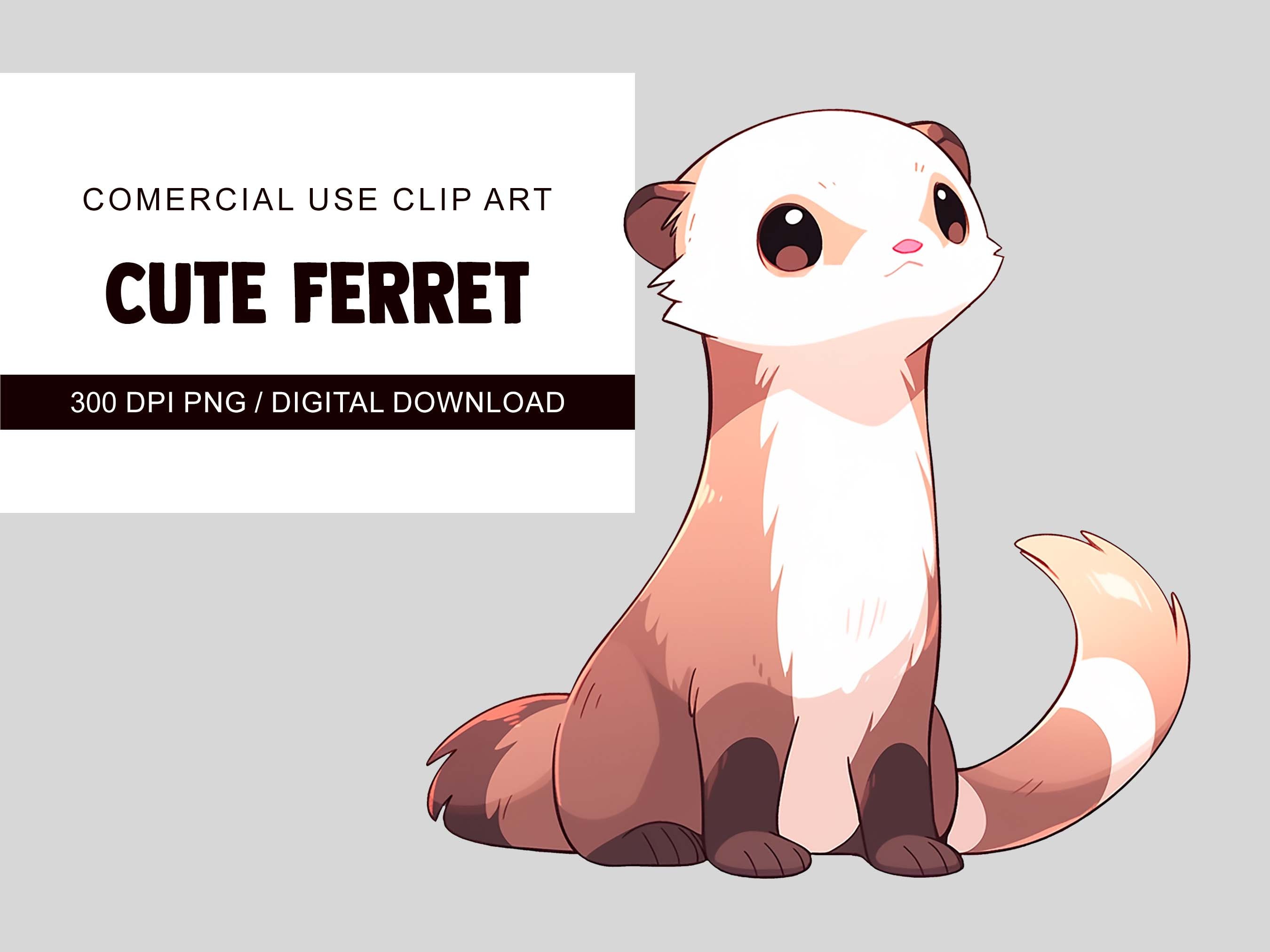 Cute Ferret Drawings
