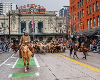 National Western Stock Show Parade Denver, Colorado - Etsy