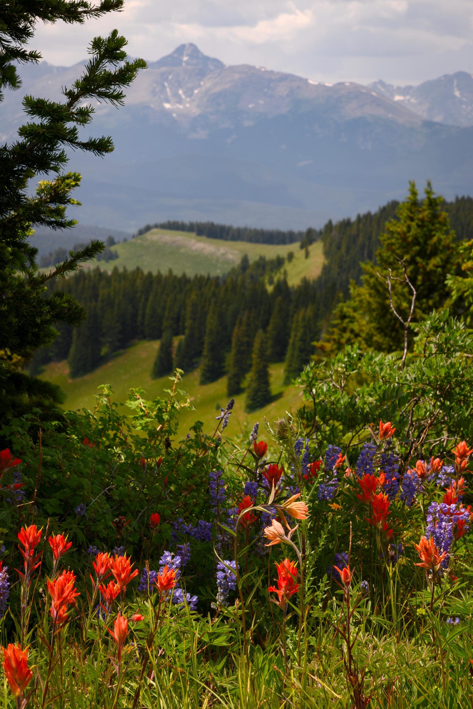 Shrine Ridge Trail, Colorado - Etsy