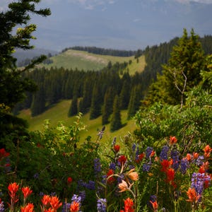 Shrine Ridge Trail, Colorado - Etsy
