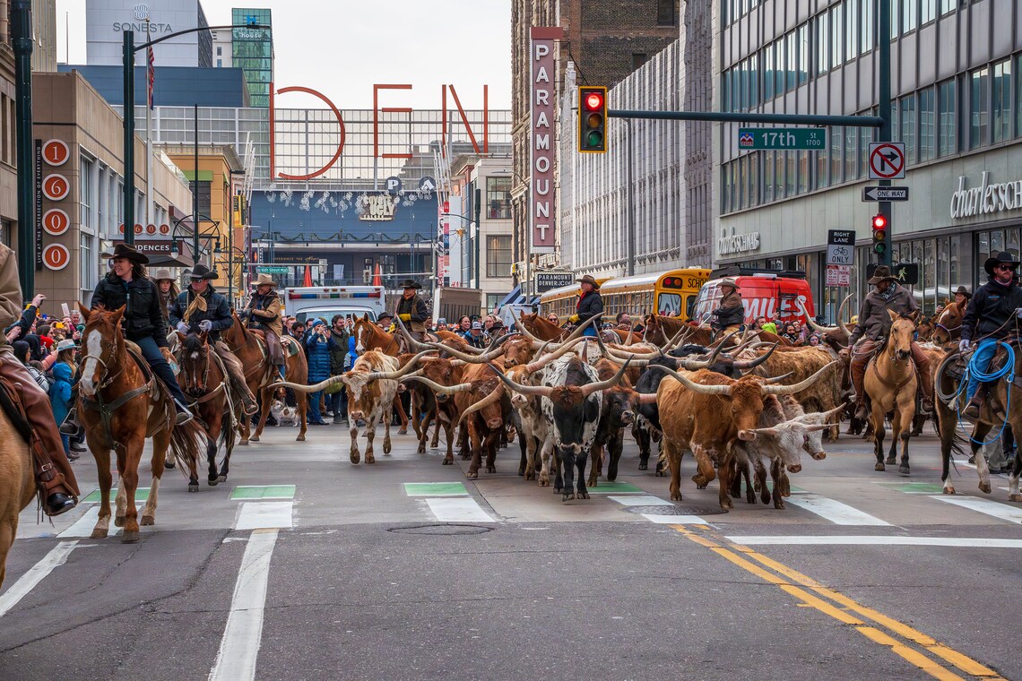 National Western Stock Show Parade Denver, Colorado - Etsy