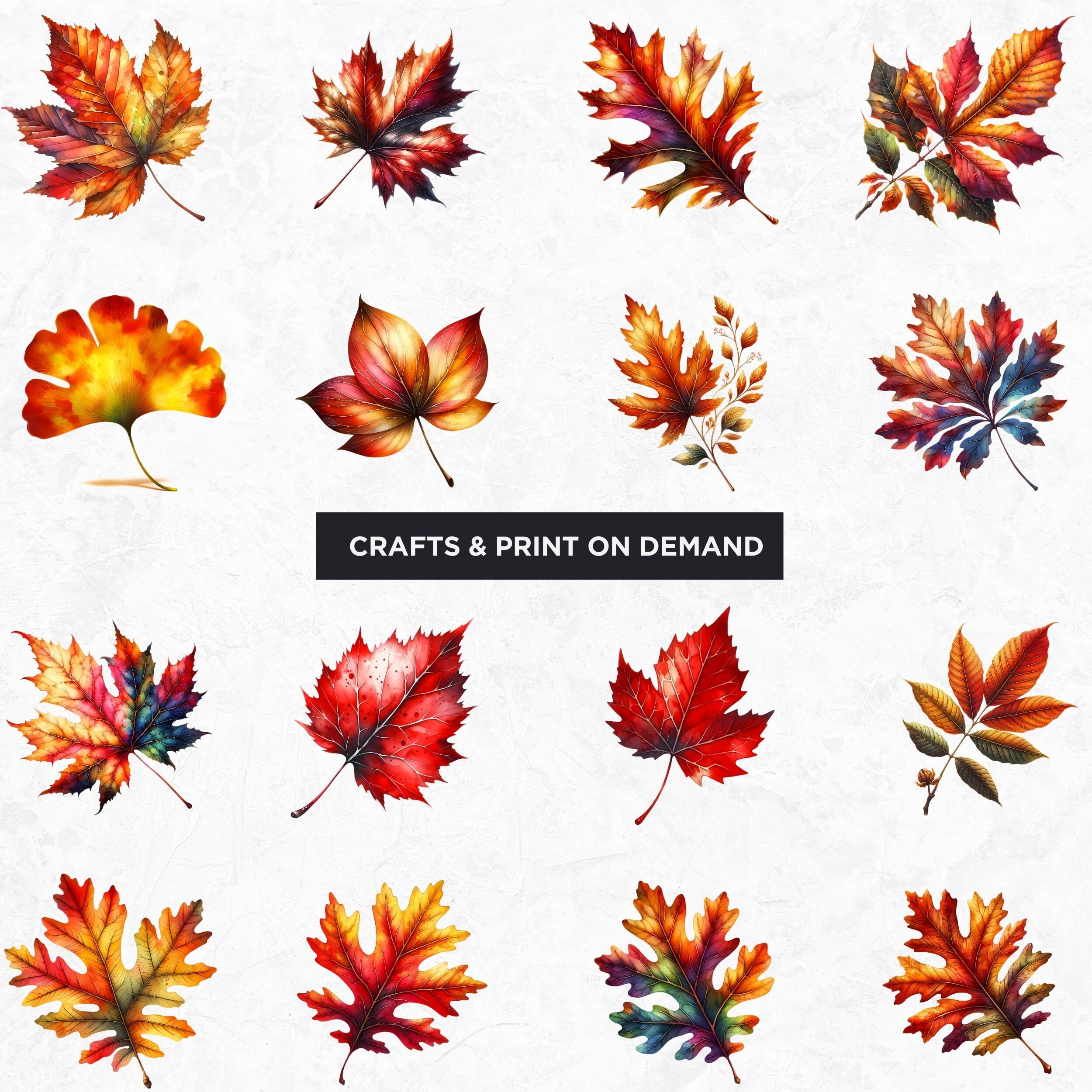 Autumn Leaves Clipart Set: Watercolor Fall PNG Graphics (digital ...