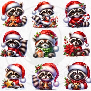 53 Cute Raccoon PNG Clipart Set, Christmas Raccoon Clipart, Baby Animal ...
