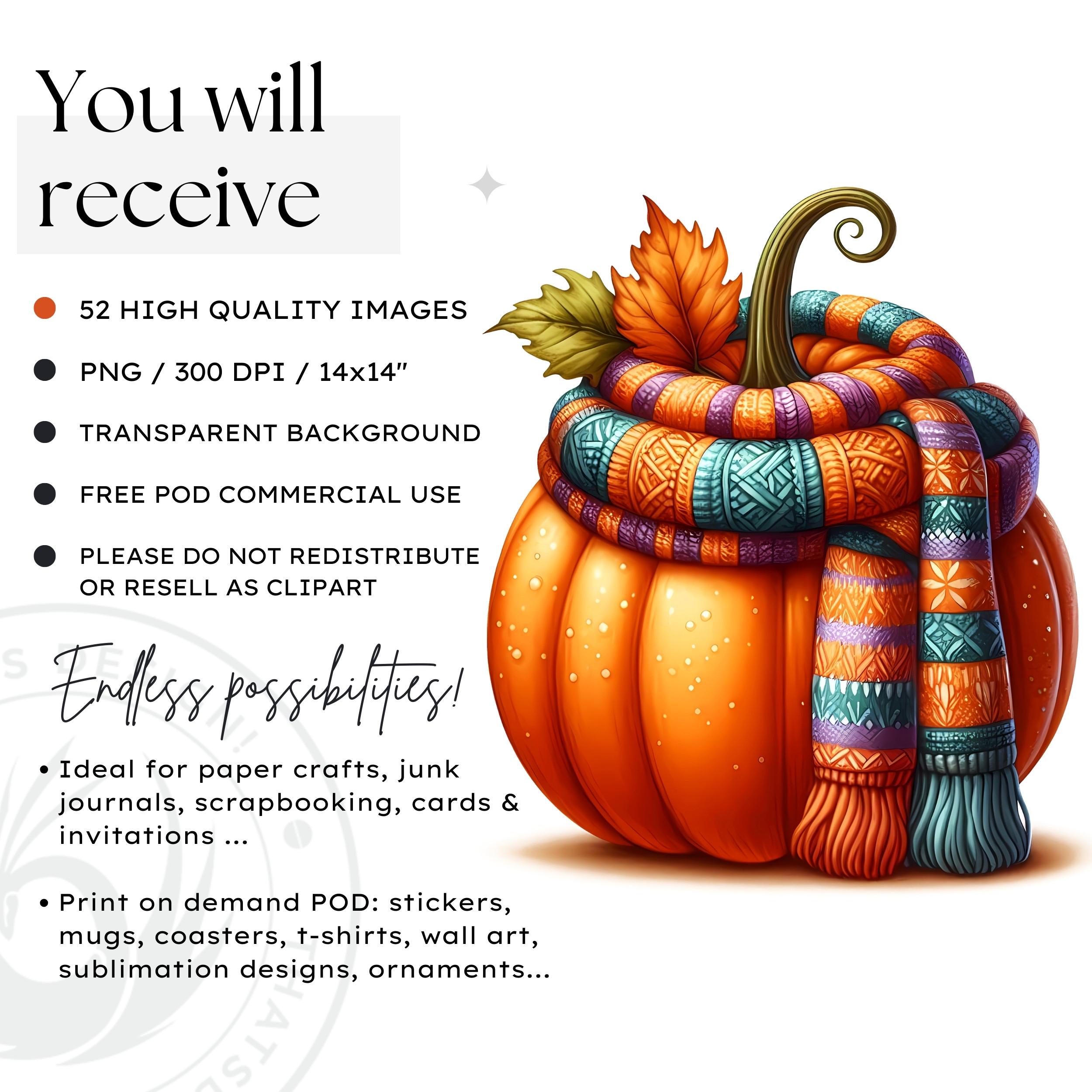 Autumn Pumpkin Clipart Set: Harvest Season PNG, Thanksgiving Graphics ...