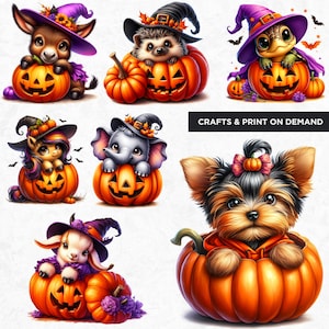 38 Halloween Animals in Pumpkin Clipart Set, Cute Halloween Clipart ...