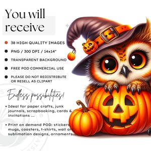 38 Halloween Animals in Pumpkin Clipart Set, Cute Halloween Clipart ...