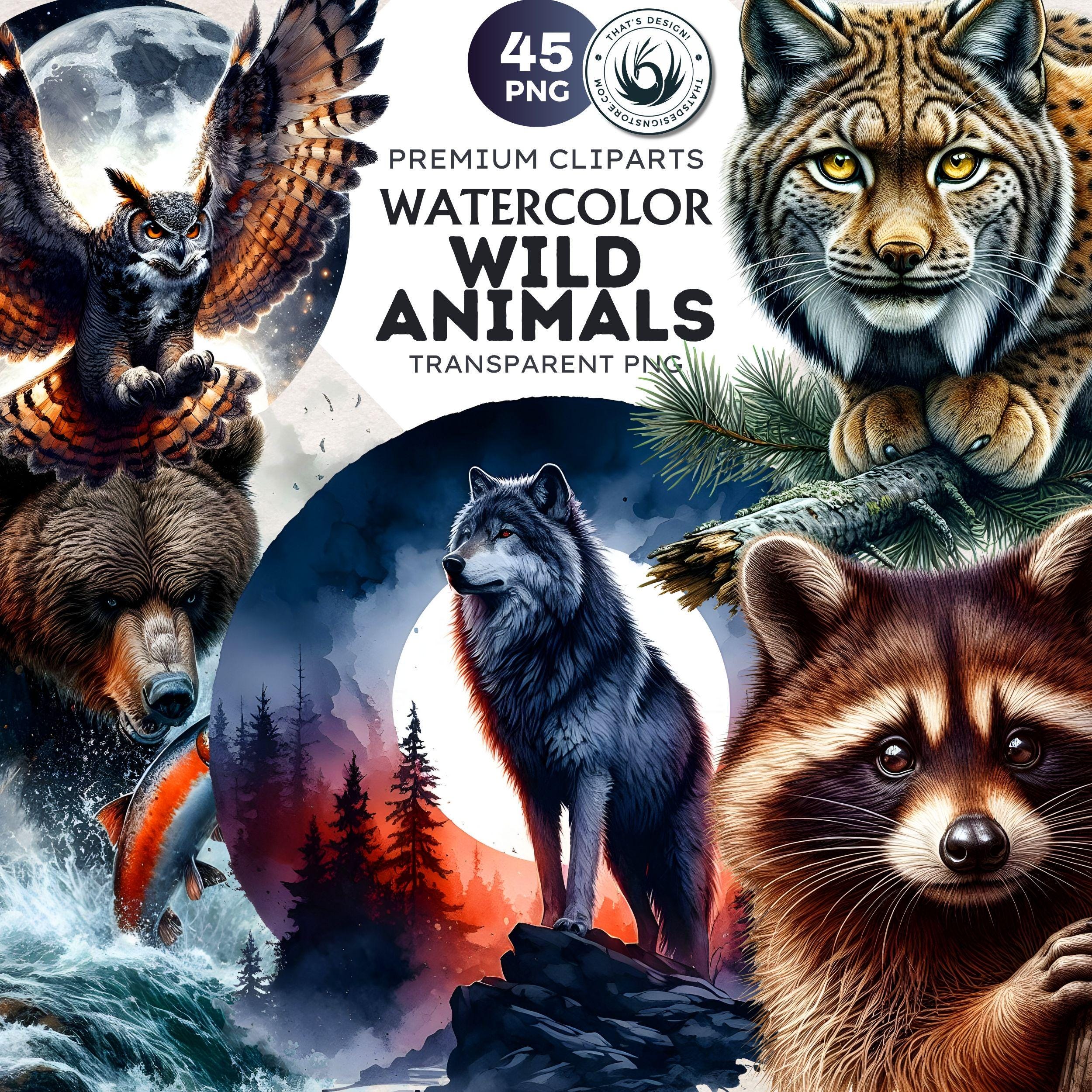 Watercolor Forest Animals Clipart Bundle: Rustic Wildlife Art (PNG ...