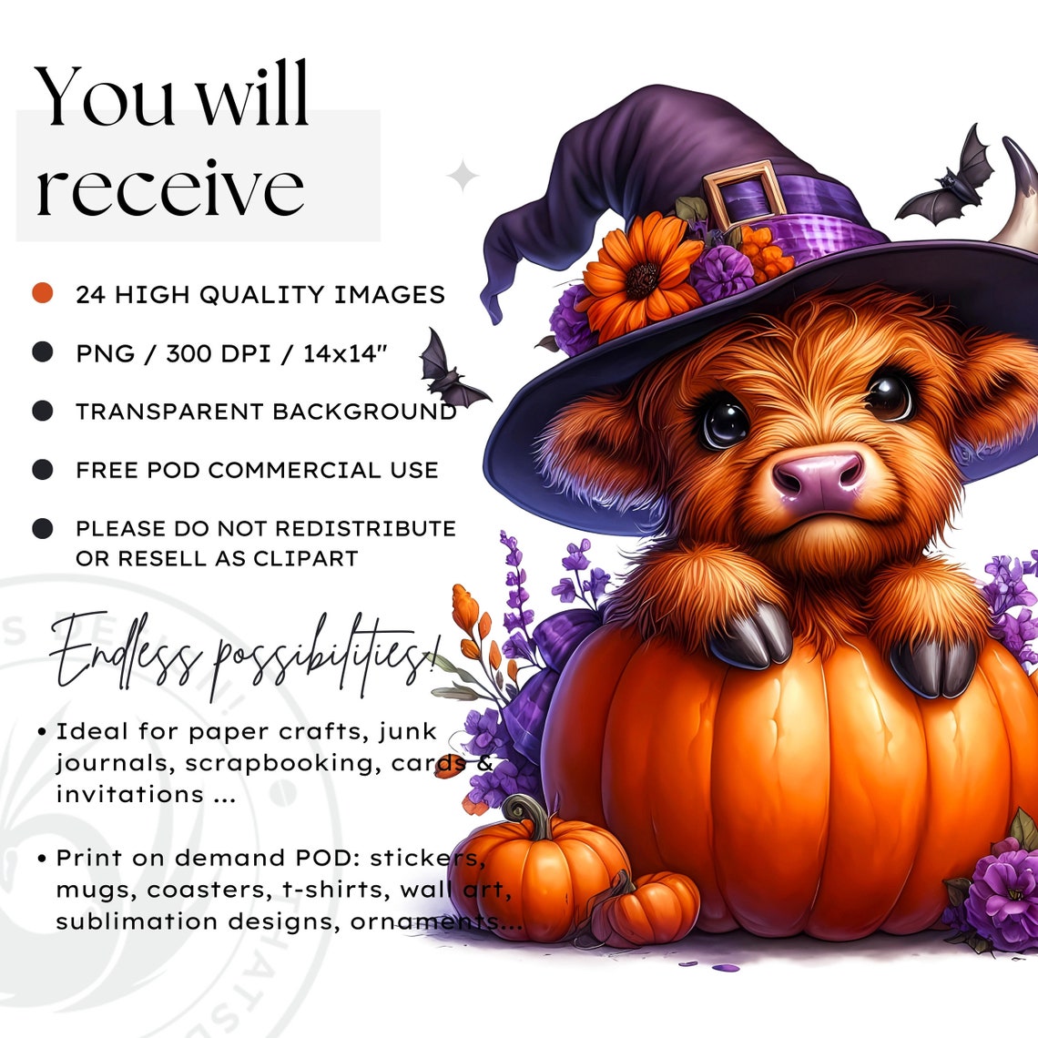 Halloween Highland Cow Clipart Set: Pumpkin PNG Designs (digital ...