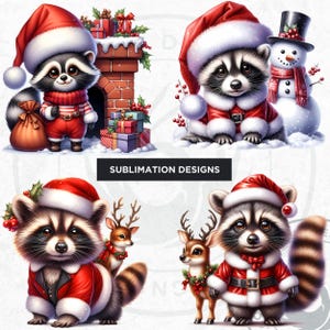 53 Cute Raccoon PNG Clipart Set, Christmas Raccoon Clipart, Baby Animal ...