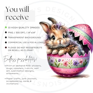 Easter Bunny in Egg Clipart Bundle, Rabbit Clipart, Spring PNG, Easter ...