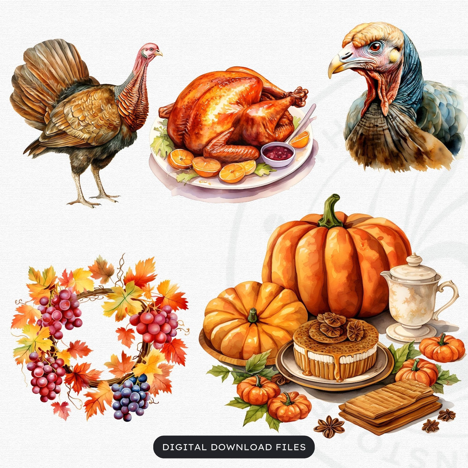 Watercolor Thanksgiving Clipart: Traditional Fall PNG (digital Download ...
