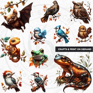 60 Woodland Animals Clipart Set, Cute and Realistic Forest Wildlife ...