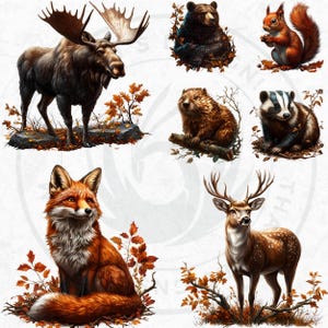 60 Woodland Animals Clipart Set, Cute and Realistic Forest Wildlife ...