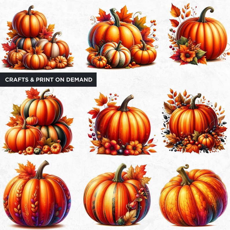 Autumn Pumpkin Clipart Set: Harvest Season PNG, Thanksgiving Graphics ...