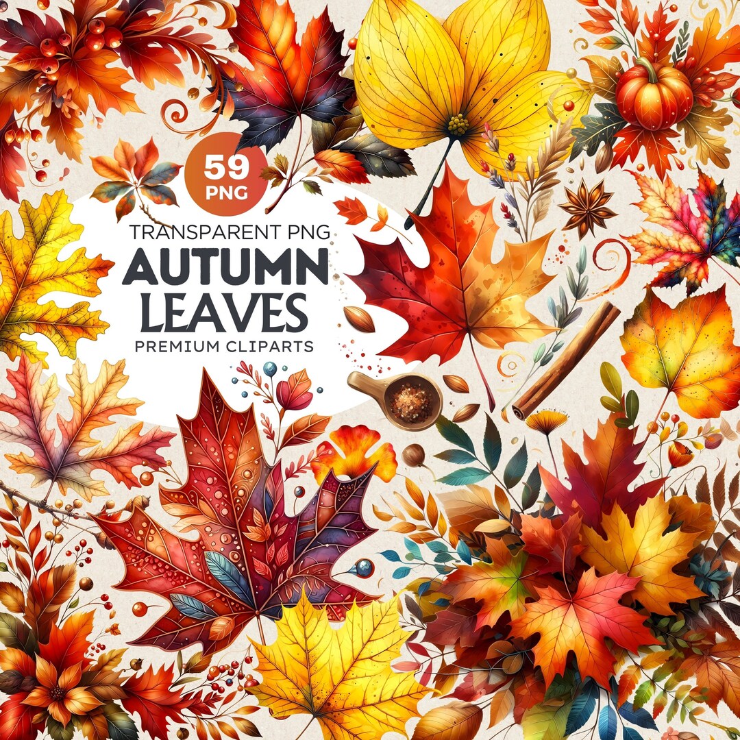 Autumn Leaves Clipart Set: Watercolor Fall PNG Graphics (digital ...