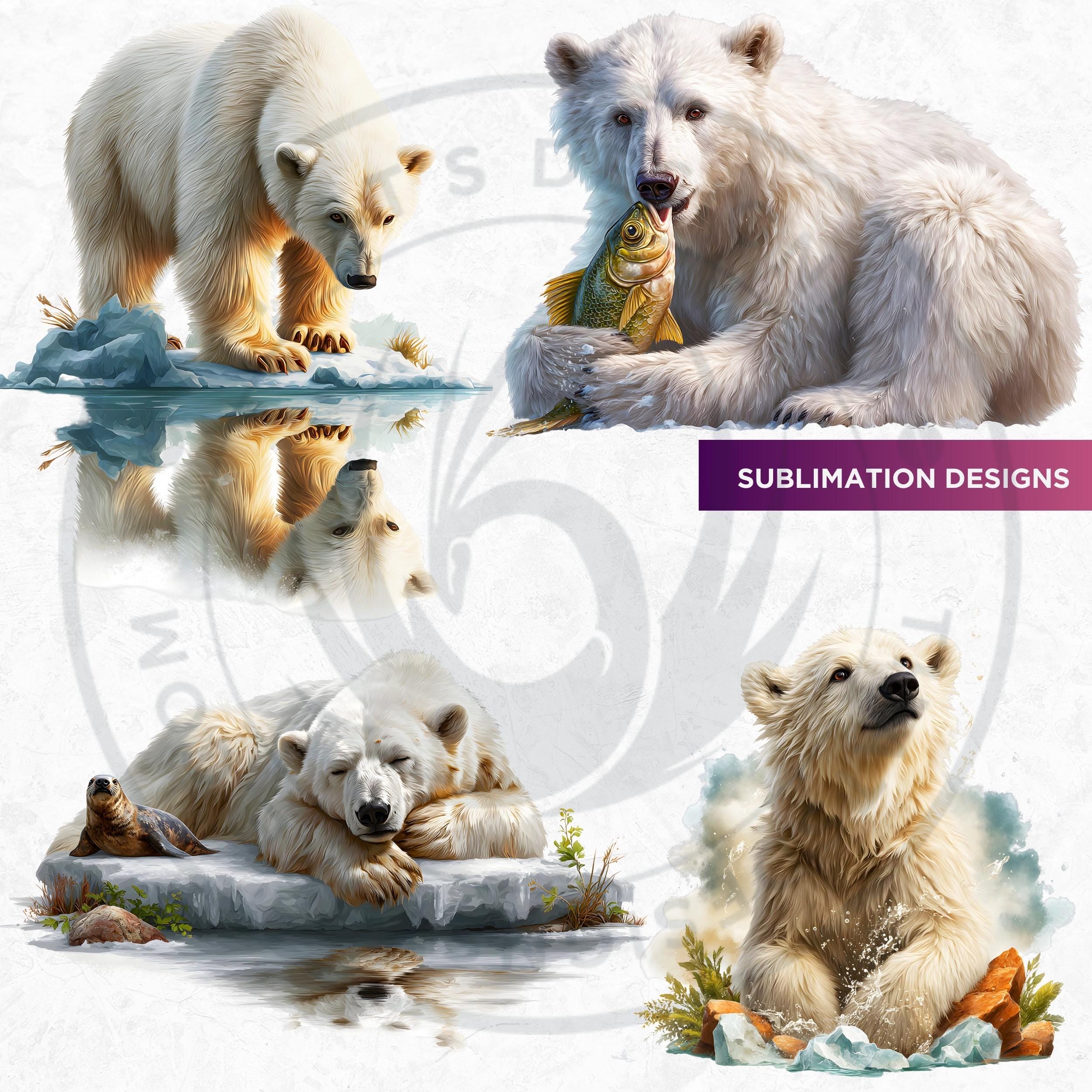 Watercolor Polar Bears Clipart Bundle: Arctic Wildlife Illustrations ...