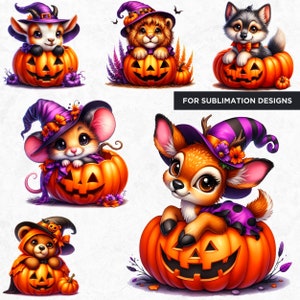 38 Halloween Animals in Pumpkin Clipart Set, Cute Halloween Clipart ...