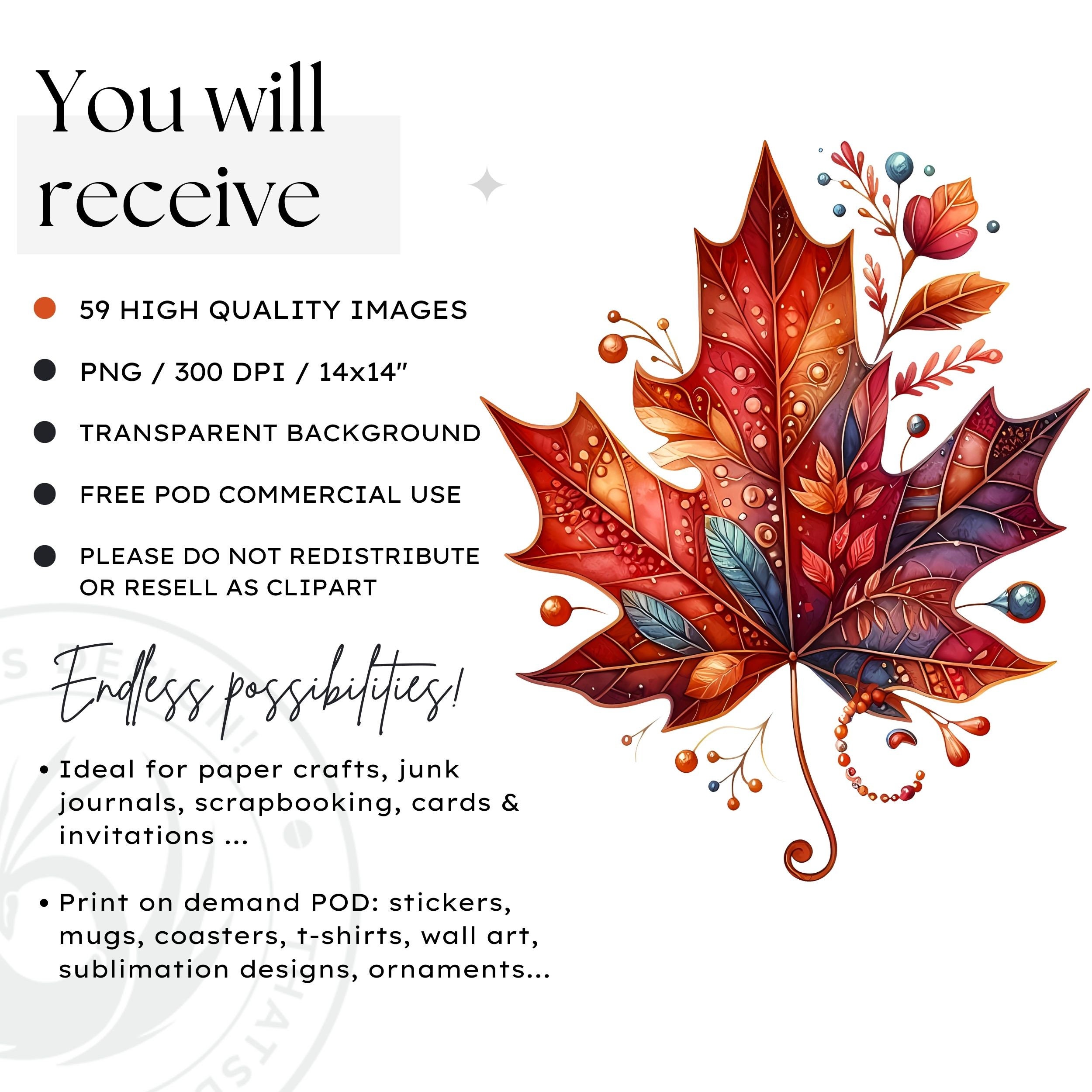 Autumn Leaves Clipart Set: Watercolor Fall PNG Graphics (digital ...