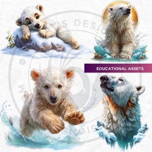 Watercolor Polar Bears Clipart Bundle: Arctic Wildlife Illustrations ...