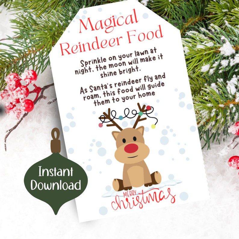 Magic Reindeer Food Printable Christmas Eve Box Fillermagical Reindeer ...