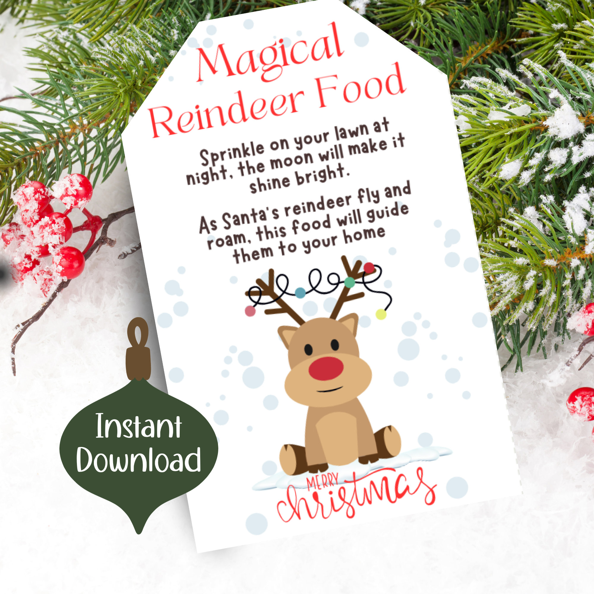 Magic Reindeer Food Printable Christmas Eve Box Fillermagical Reindeer ...